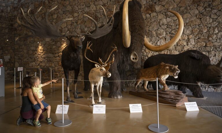 Musée de Préhistoire des Gorges du Verdon - Alpes de Haute Provence ...